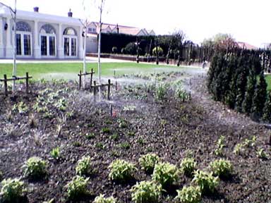 Individual Watering Needs - Waterscape Solutions UK